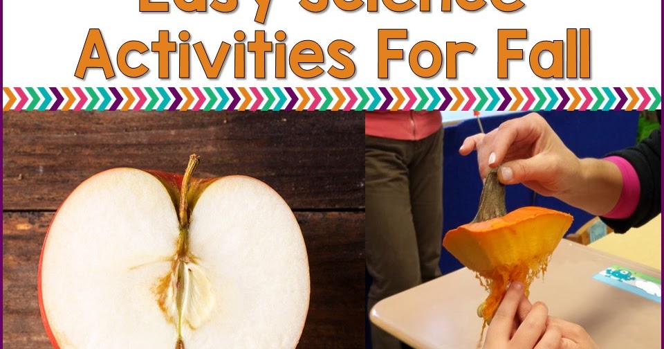 Easy Fall Science Activities For Special Education Classrooms | Mrs. P ...