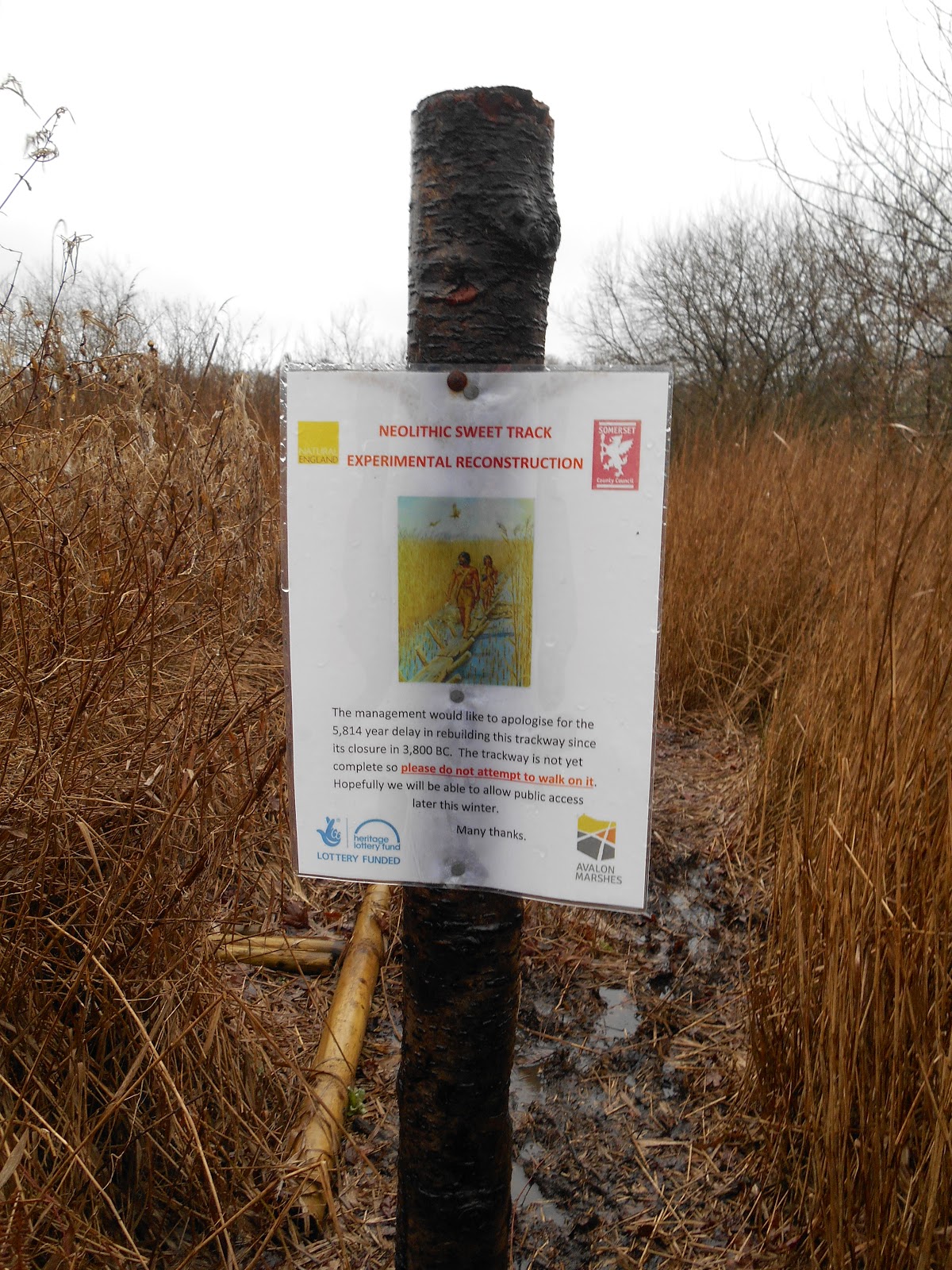 Off the Beaten Track in Somerset: The Sweet Track and other Ancient ...