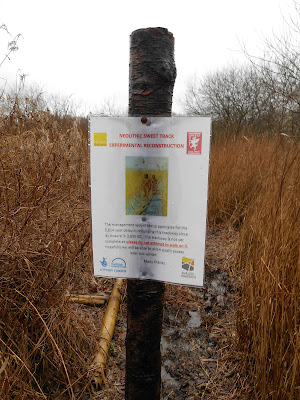 Off the Beaten Track in Somerset: The Sweet Track and other Ancient ...