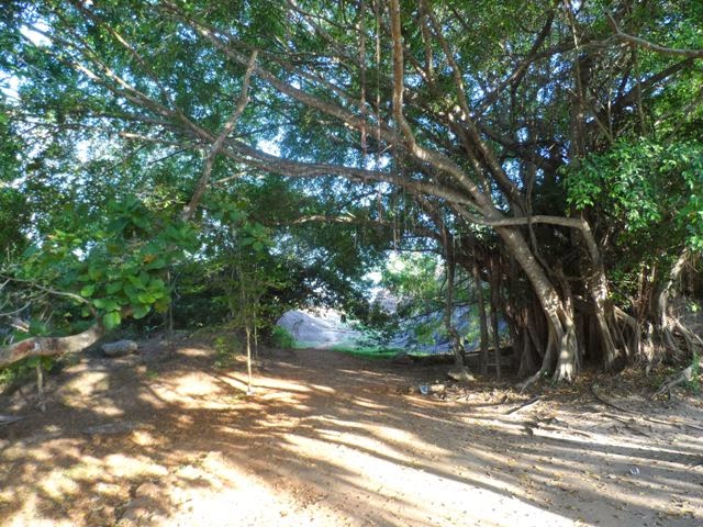 Uncommon Paths: Thonigala Rock Inscriptions