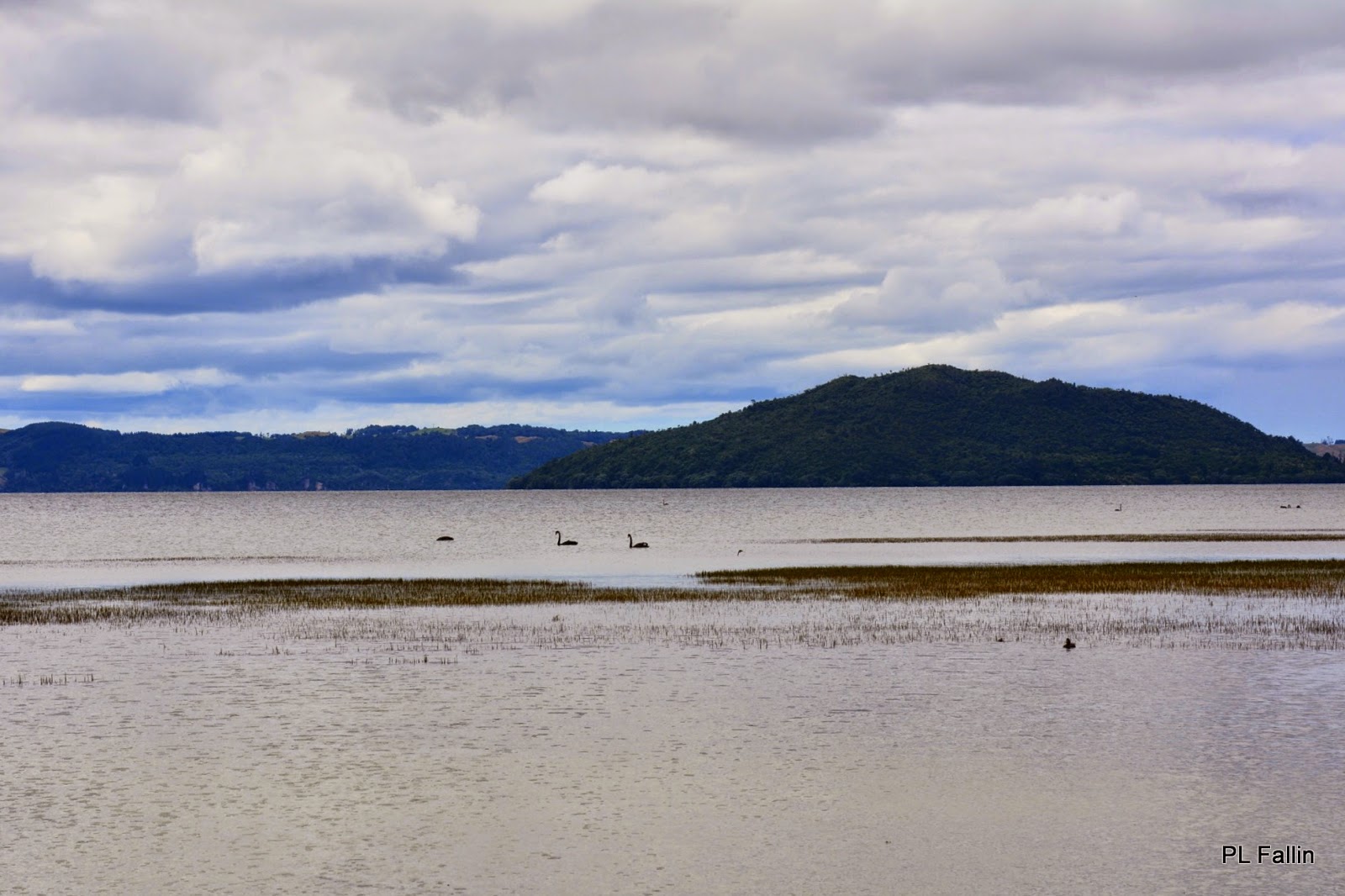 PL Fallin Photography: Story of Hinemoa and Tutanekai at Mokoia Island