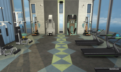 Stone by Stone Gym no CC