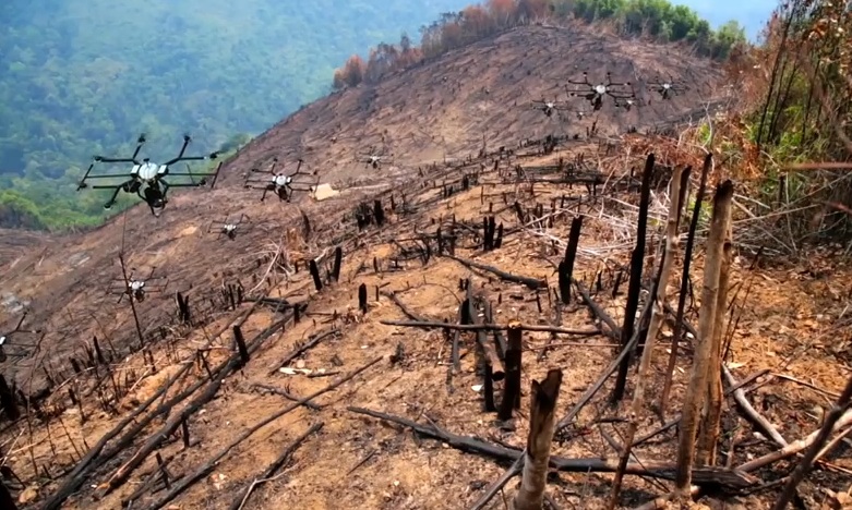 Practical Applications of Drone Technology in Forest Management ...