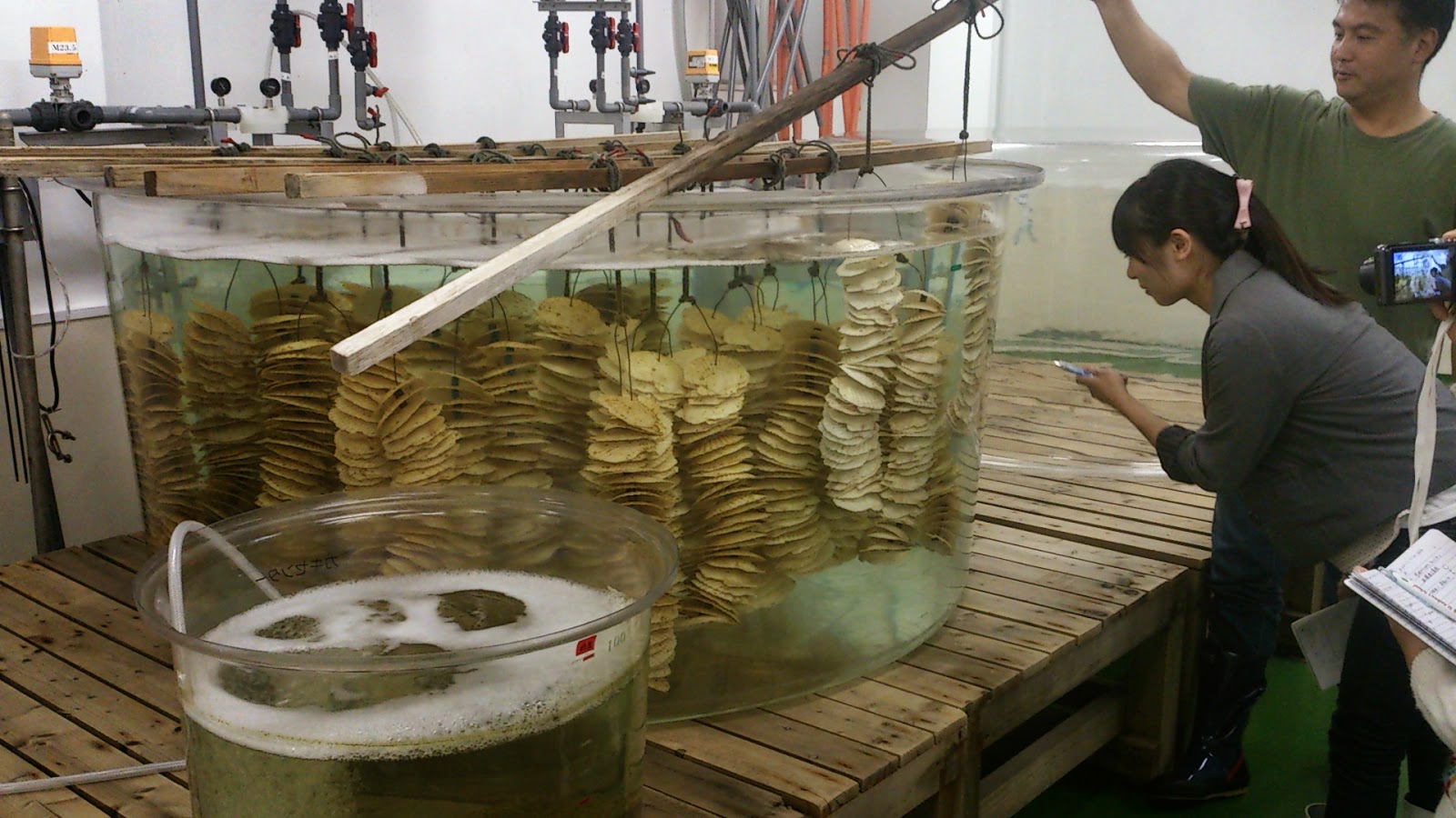 talk-hokkaido: Oyster Seeds Nursery Center in Akkeshi Town ④