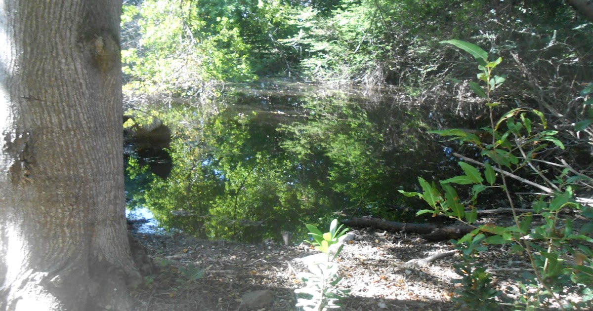 Hiking Curaçao - The Trails: Wandelverslag Den Dunki en Parke Sorsaka ...