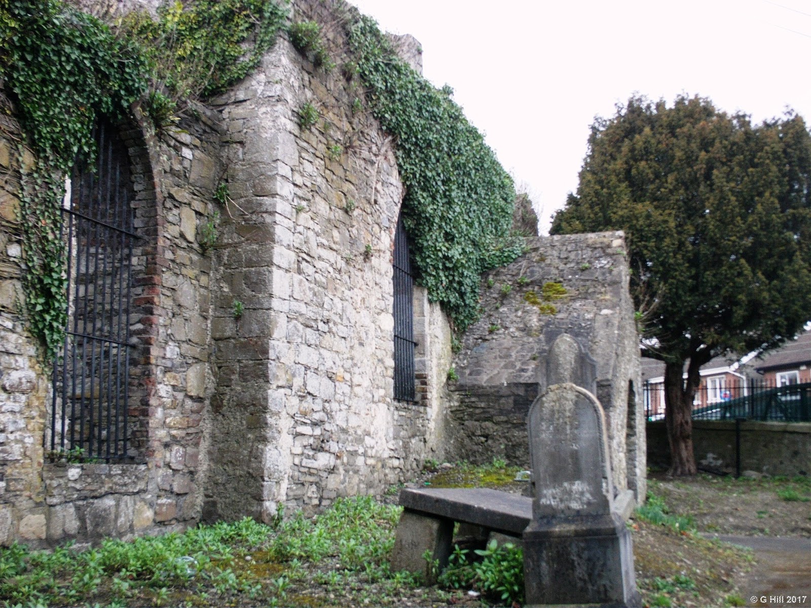 Ireland In Ruins: Finglas Abbey Co Dublin