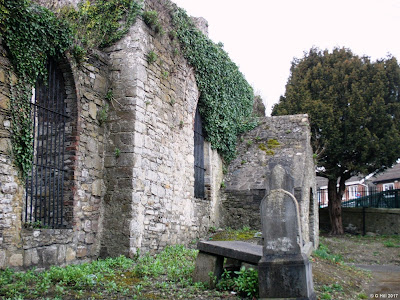 Ireland In Ruins: Finglas Abbey Co Dublin