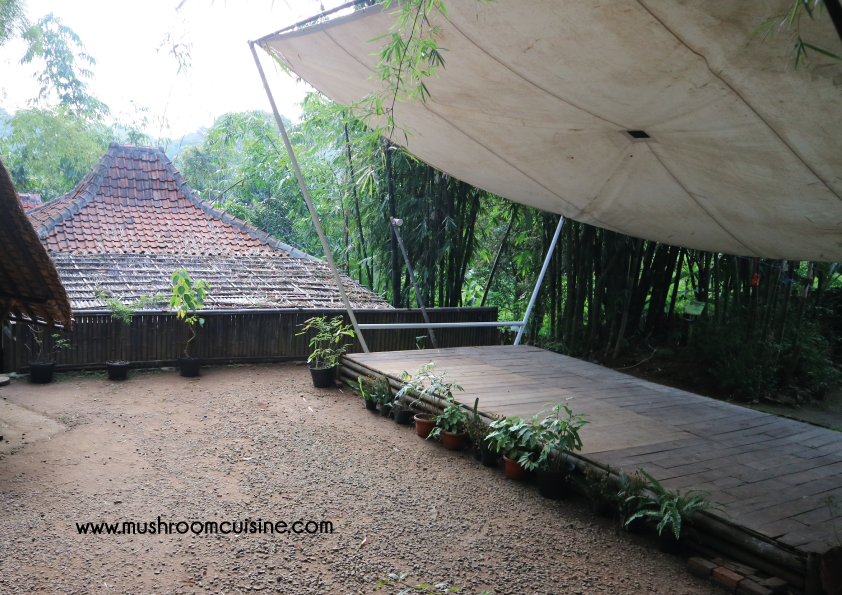 Kebon Awi Kaffee: Masakannya Nikmat Pemandangannya Sedap | Mushroom Cuisine