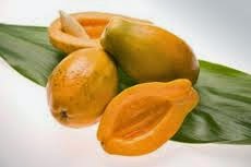 Papaya cultivation in India: Varieties