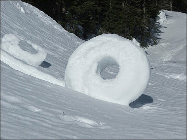 Sometimes Nature Is Awesome. Other Times, It’ll Scare The Life Out Of ... Sometimes Nature Is Awesome. Other Times, It’ll Scare The Life Out Of ...