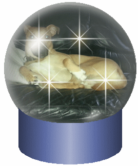 My Craft Life: PSP animations that I have been learning