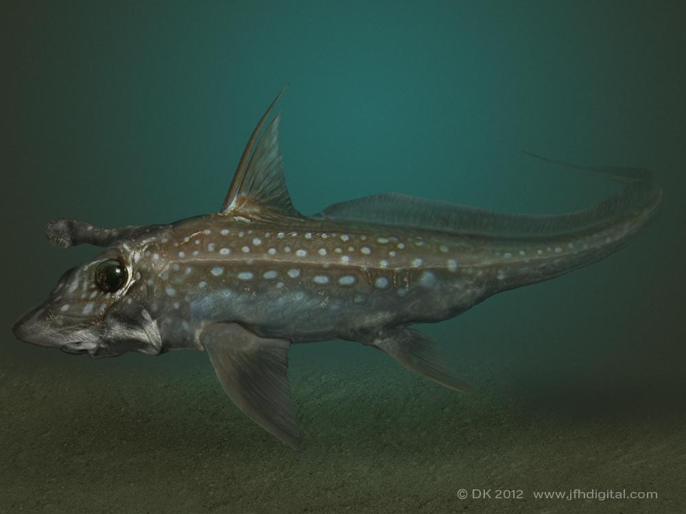 Σελαχος μορφή: Prehistóricos