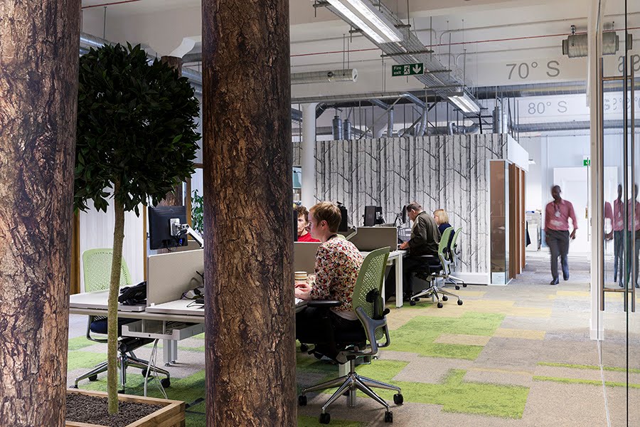 Bio-Philic Design (Green Architecture) ~ Interior Designer