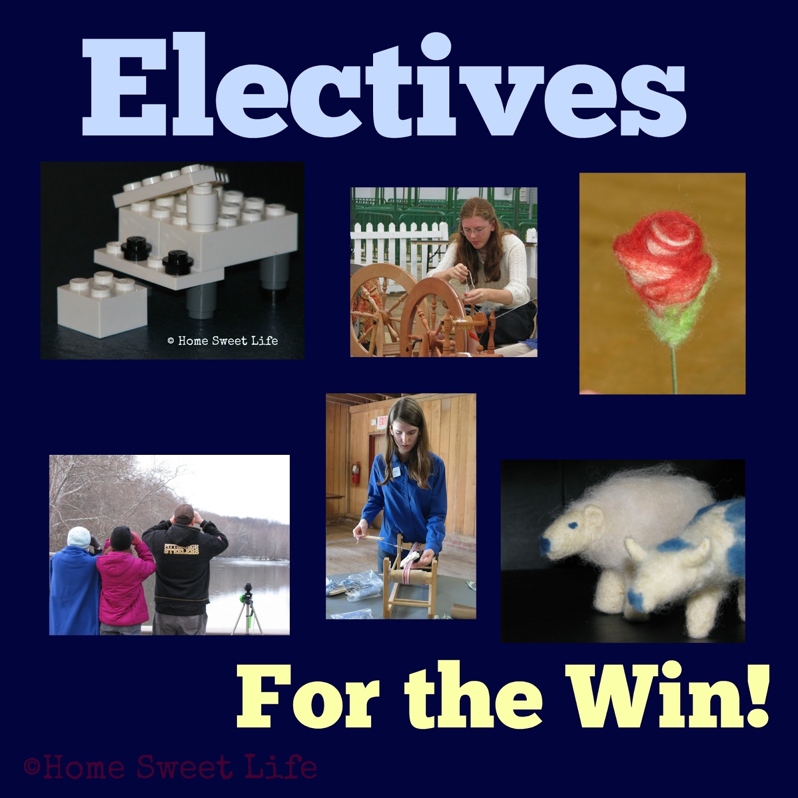 Home Sweet Life: Homeschooling High School ~ Electives