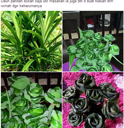Cara Nak Buat Bunga Rampai Daun Pandan - Yadira-has-Snyder