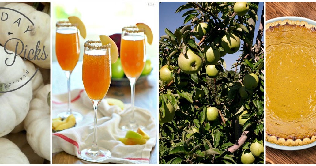 Friday Fresh Picks: Fall Favorites | Pieces of a Mom