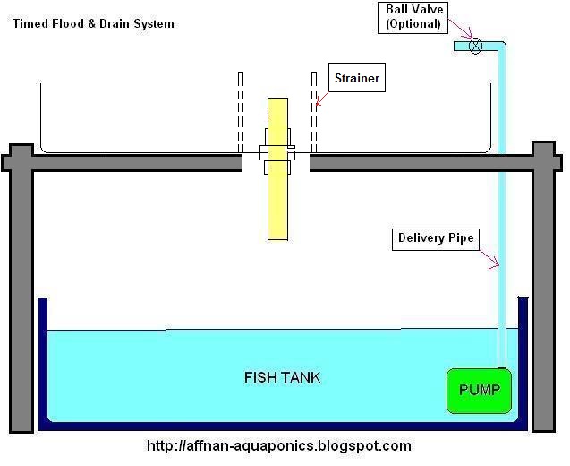 Affnan's Aquaponics: Timed Flood & Drain System