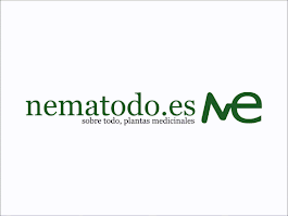 LugarSalud El Lugar De La Salud Los Antidiab ticos Orales