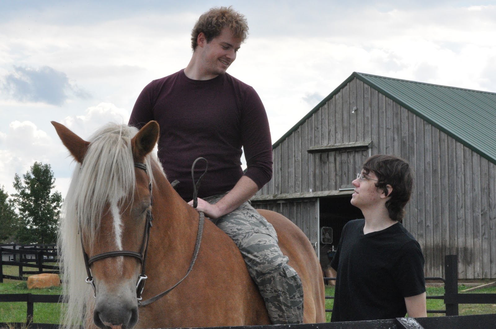 Behind the Scenes / Taking Flight Theatre Company: Equus Cast Take a ...