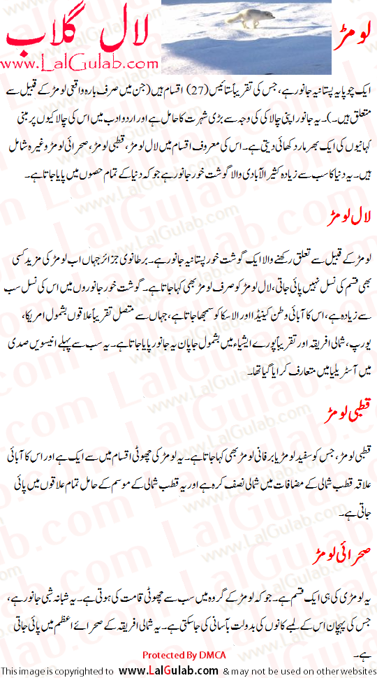 Khwab Ki Tabeer, Khawab Ki Tabeer, Khwabon Ki Tabeer,: Fox Information ...