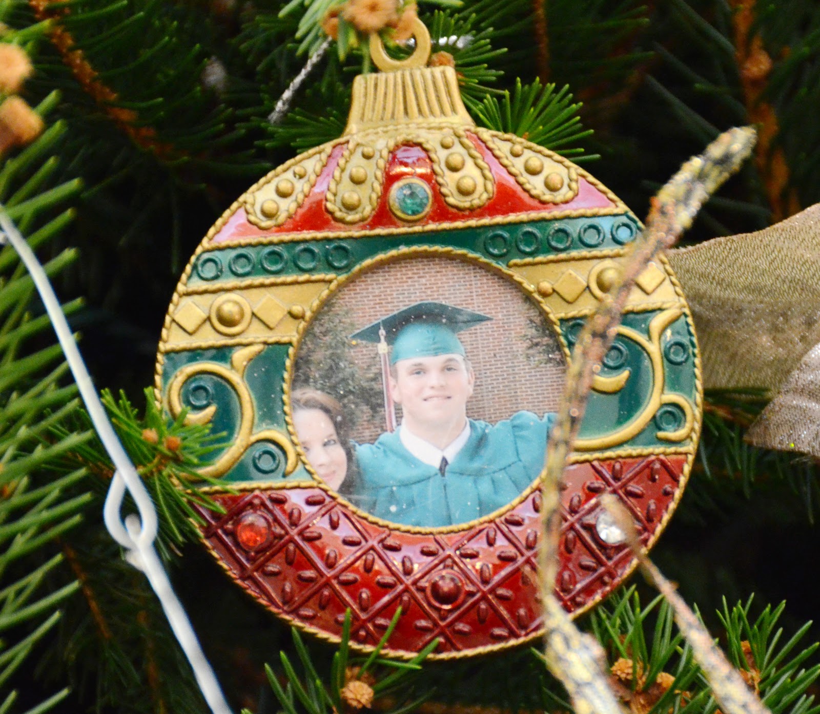 Christine Nicole Photography: 8th Annual Recovery Tree Celebration