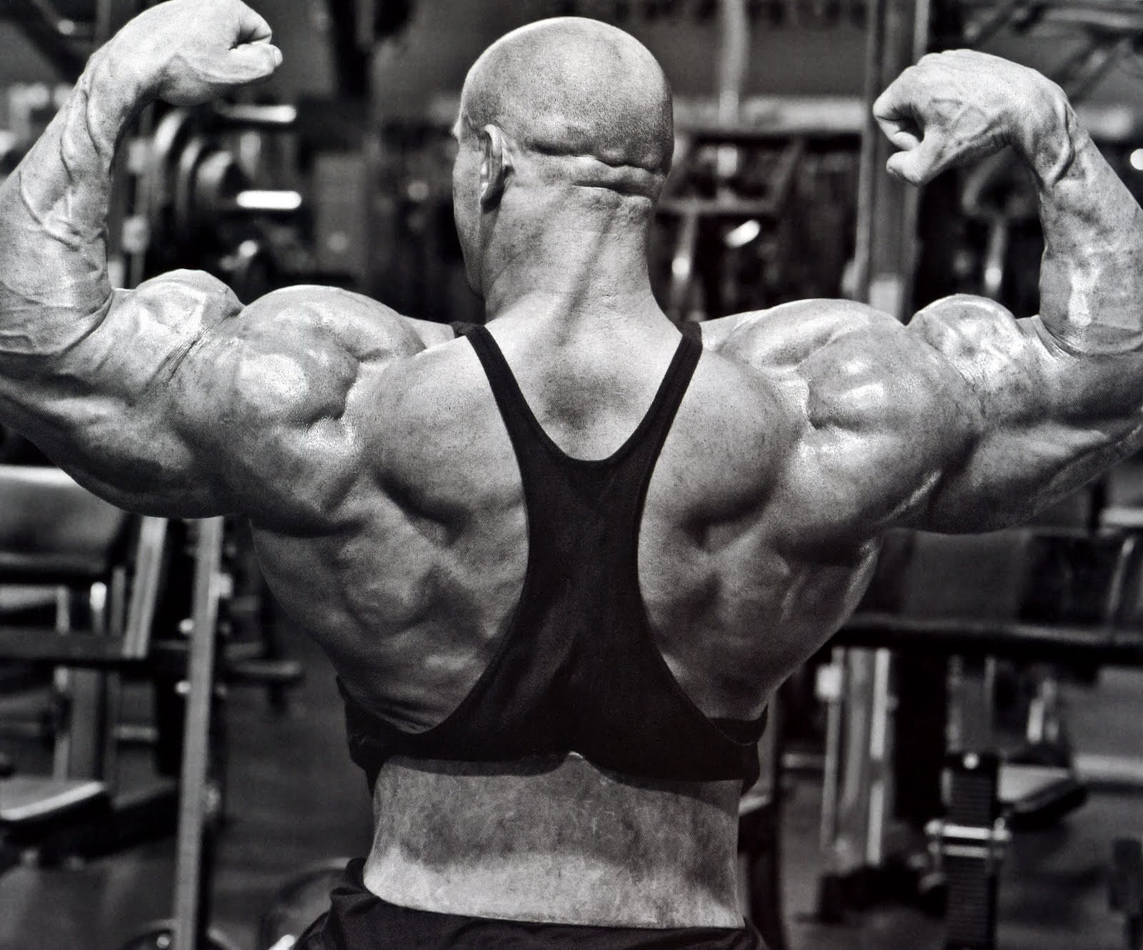 Bodybuilding: February 2013