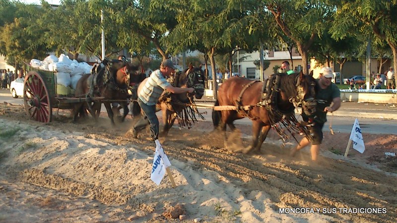 MONCOFA Y SUS TRADICIONES: 9 Octubre un día lúdico sin toros.