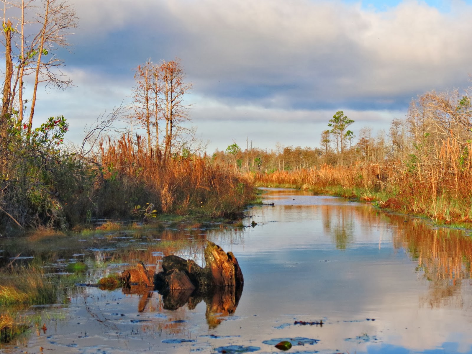 Adventures of a Vagabond Volunteer: Early Christmas Gifts from ...