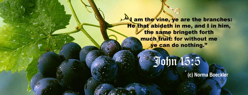 Ichabod, The Glory Has Departed: John 15 - I AM the True Vine