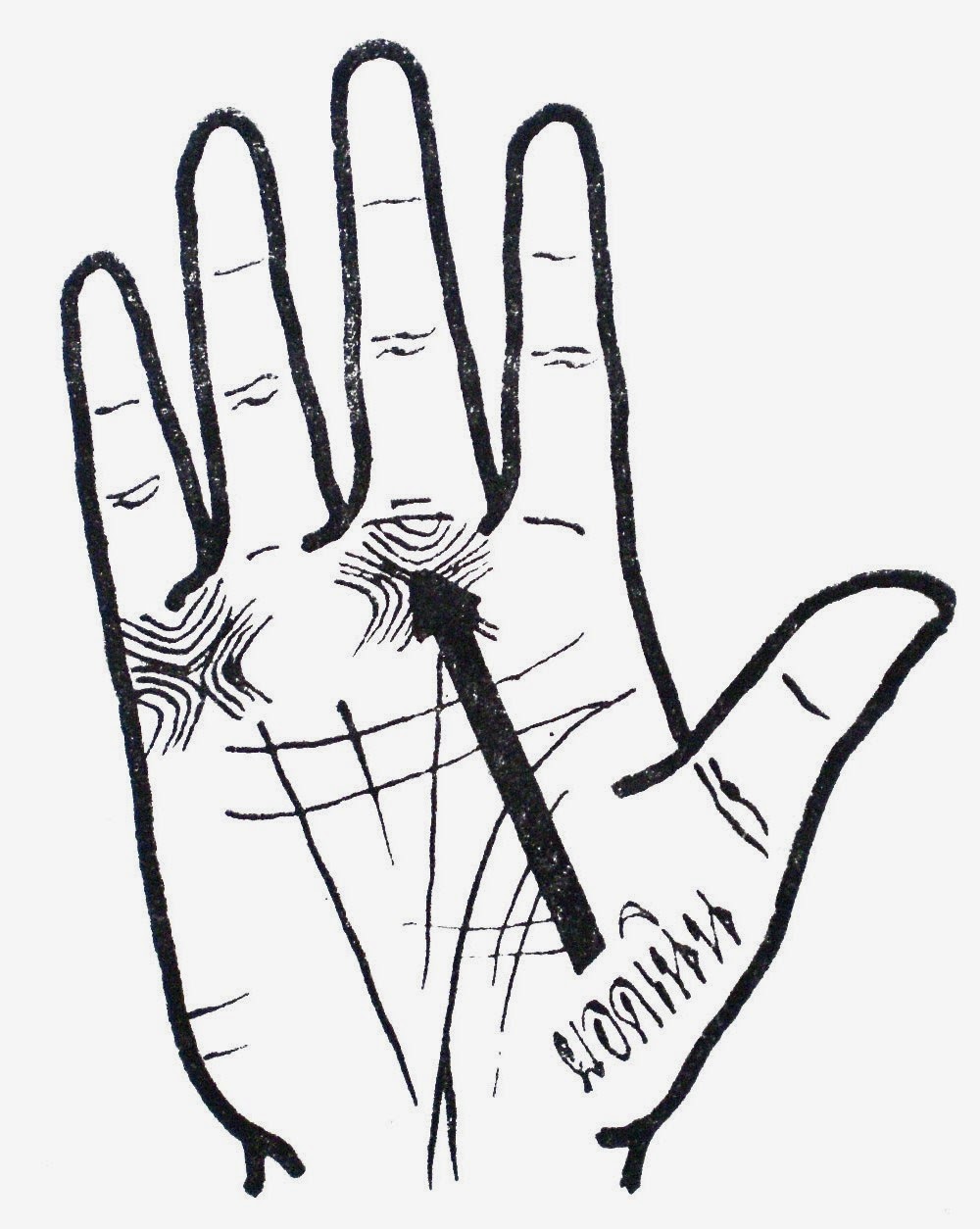 Hand Prediction ทำนายลายมือ: ยอดเนินที่ใช้ทำนาย