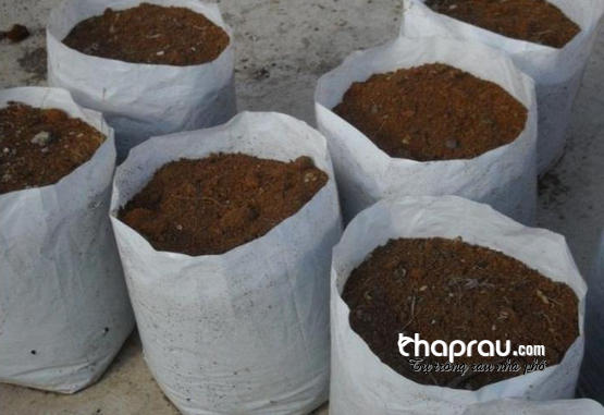 Cách cải tạo đất trồng rau | Tháp rau