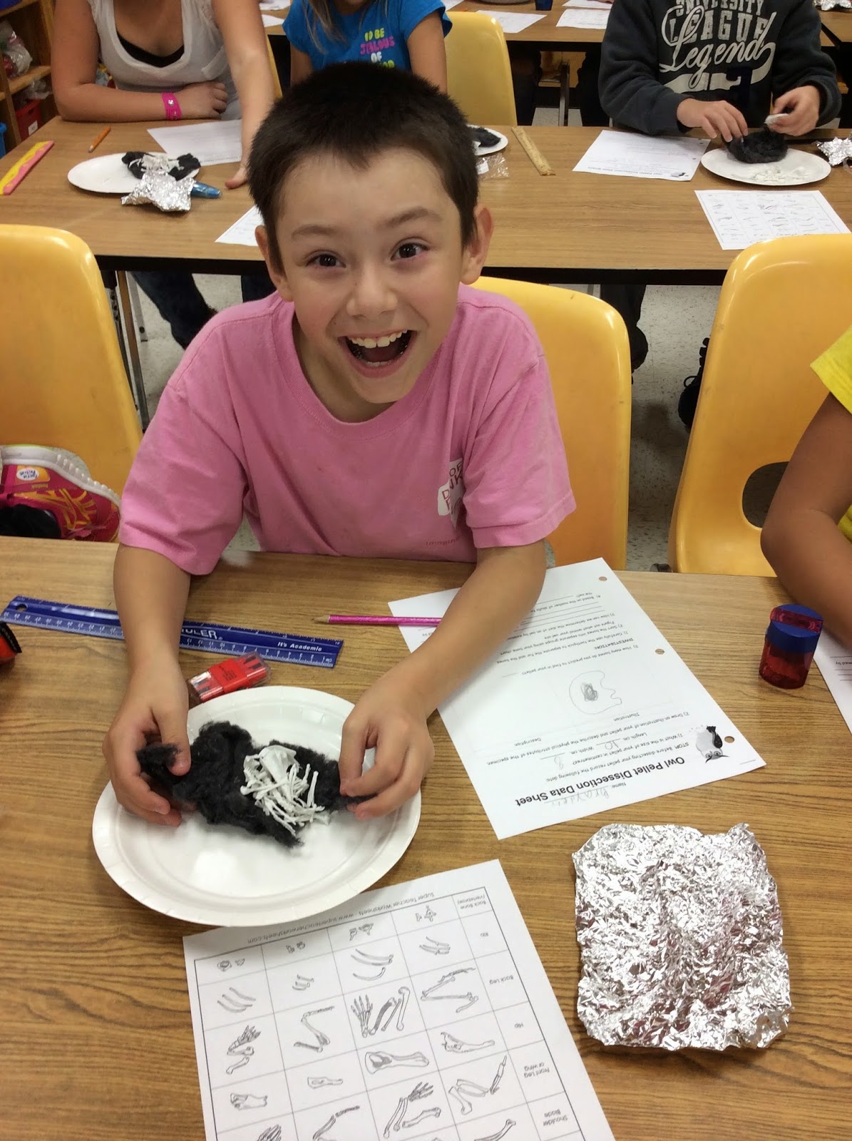 Miss Komar's Blog: Owl Pellets