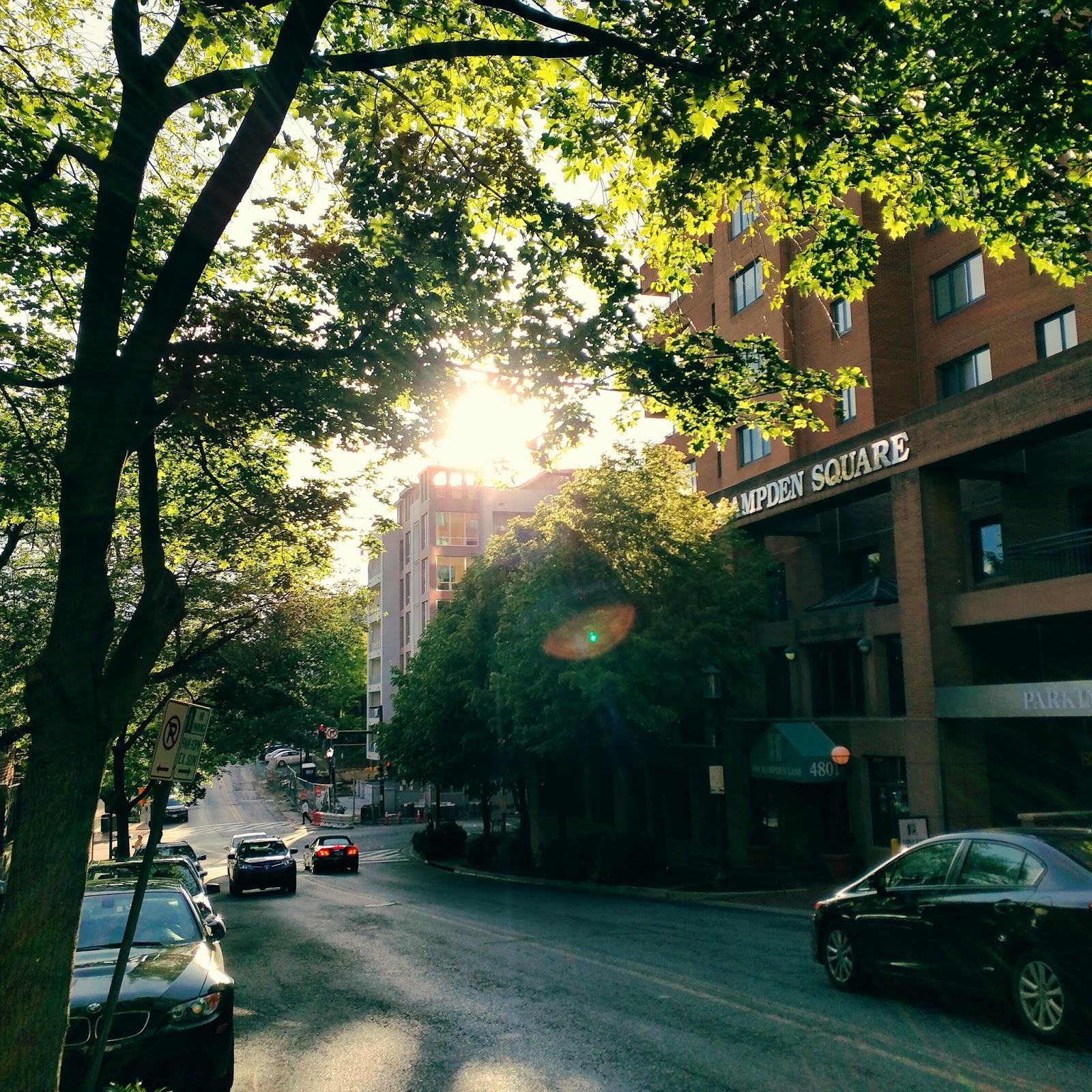 Robert Dyer @ Bethesda Row: Bethesda construction update: The Lauren ...