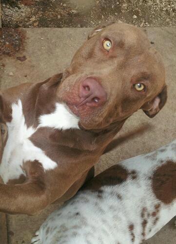 Bloggeando Vivencias: 2012