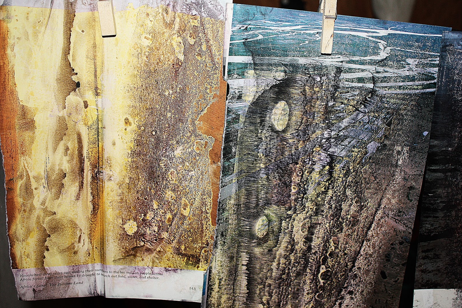 PanArt: National Geographic + Citrasolv = Love