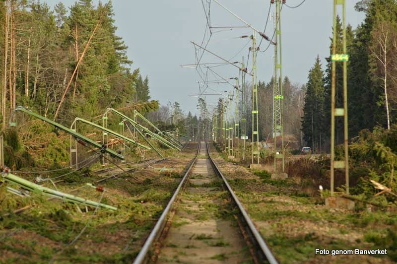 Staffans tankar om lite av varje: För tio år sedan: stormen Gudrun