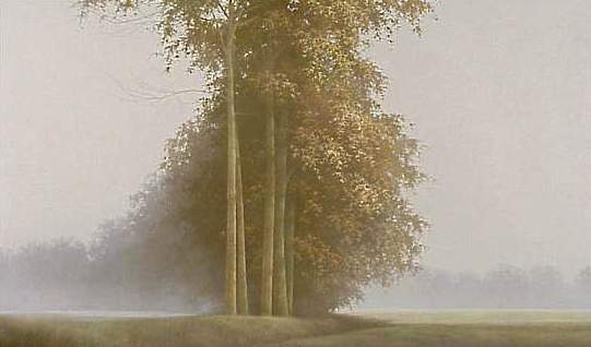 C r e a t i v e W o n d e r: Exquisite trees and lands . . . Johan ...