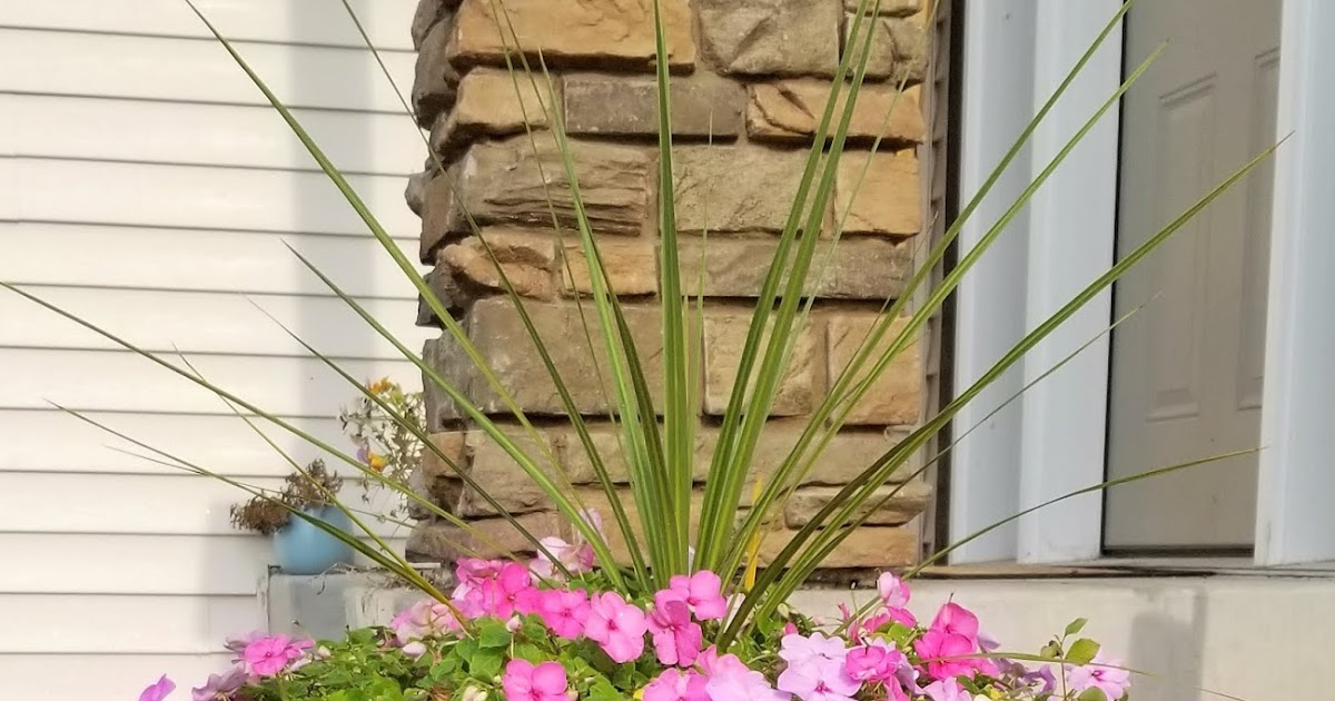 Once Daily DIY: Rustic Flower Pot using an Old Fire Pit.