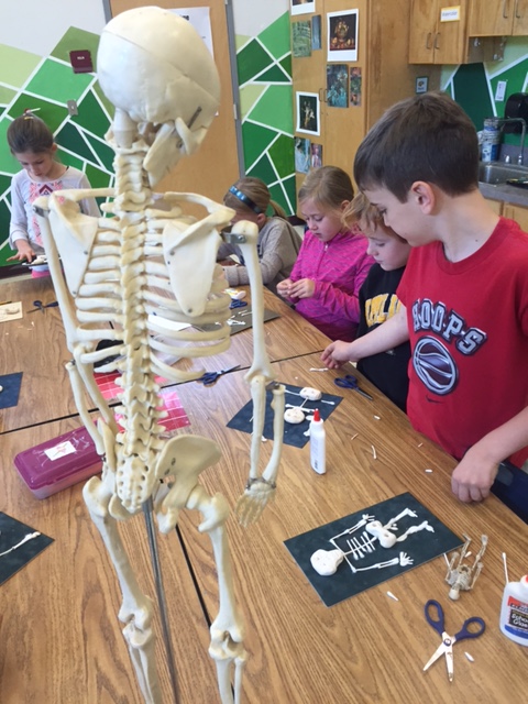 Mrs. P's Art Room: Third Grade Skeletons