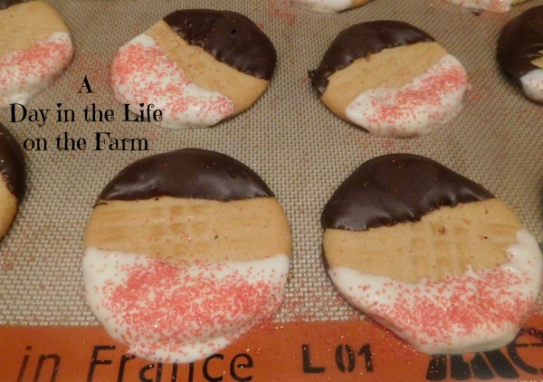 A Day in the Life on the Farm: The Christmas Cookie Club; Book Review # ...