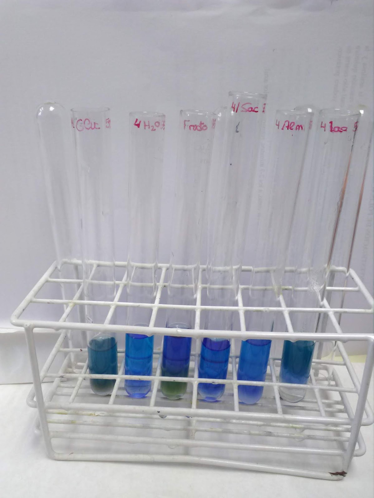 BIOLOGÍA Y ANATOMÍA 1ºBACH: ESTUDIO DE AZÚCARES REDUCTORES