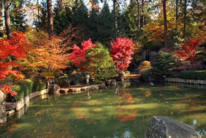 Mason Law: September 2018