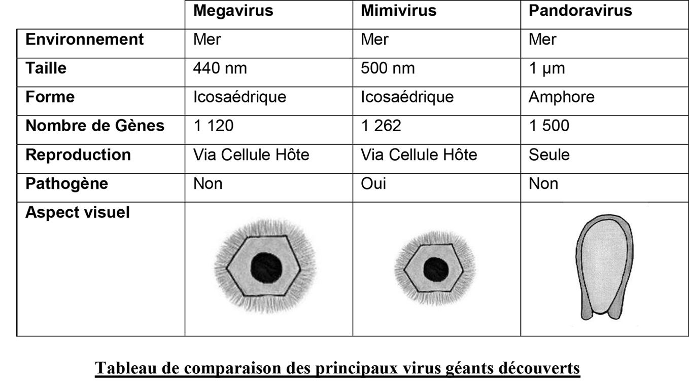 Blog DUT Génie Biologique Créteil: Mimivirus Pandoravirus Mégavirus… Le ...