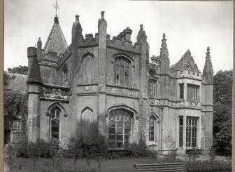 welovebearwood: The Haunted Woods