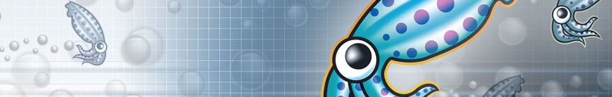 How To Allow Port In Squid Proxy Server Linux Blogs how-to-allow-port-in-squid-proxy-server-linux-blogs