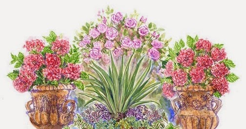 How to Plan Your Container Garden