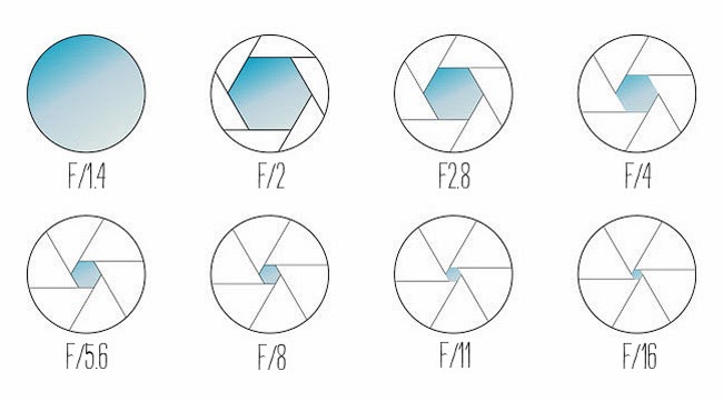 Focus on Photography: Tech Talk (aperture) | JIMBO JAMBO DESIGNS