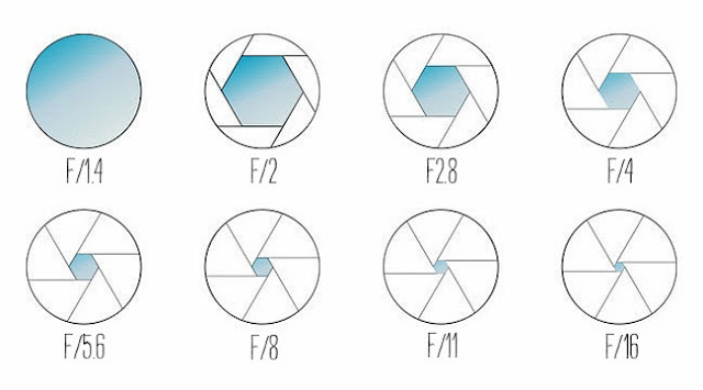 Focus on Photography: Tech Talk (aperture) | JIMBO JAMBO DESIGNS