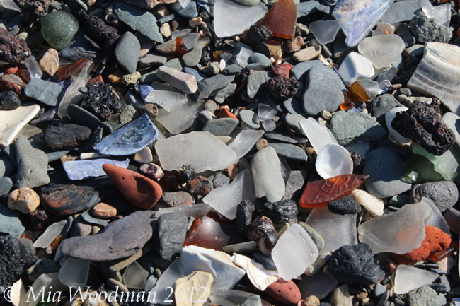 Wild into Suburbia: Spectacle Island Beach