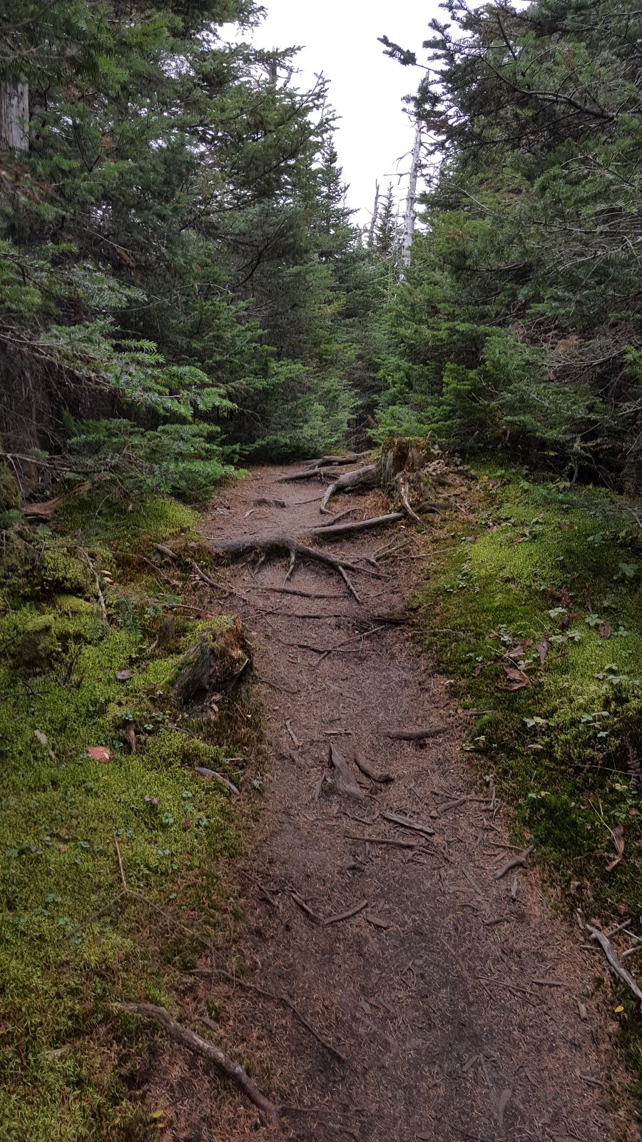 Les montagnes au Québec: Mont Saint-Joseph / Mont Victoria / Mont Mégantic